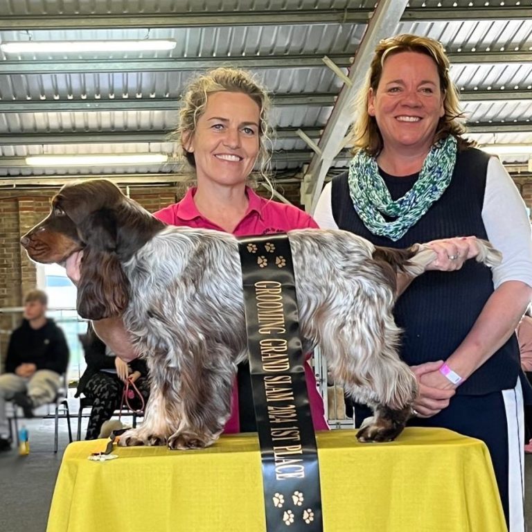 Tails School of Grooming – Professional Dog Grooming Courses in the UK